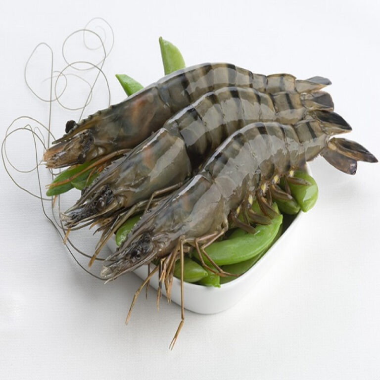 Raw Head On Shell On Black Tiger Shrimp - Taika Seafood